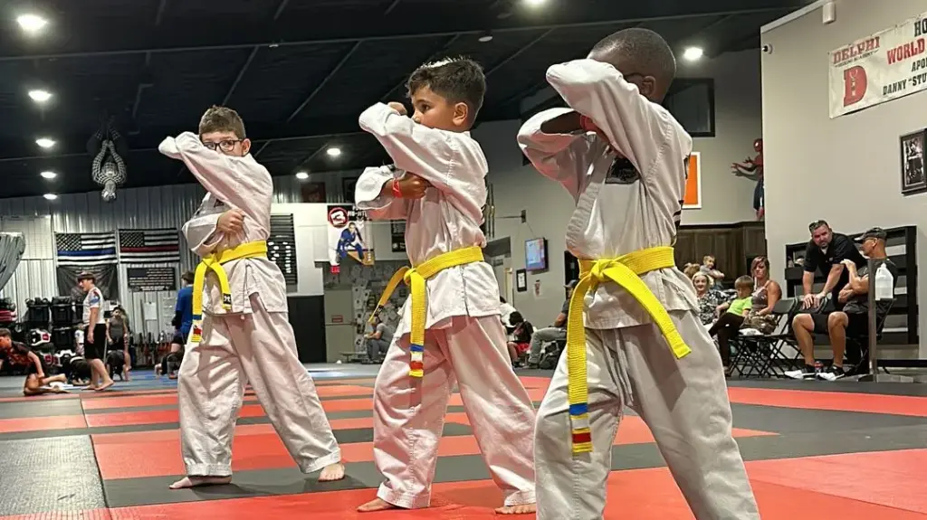 Beginner and Intermediate Forms | Pooler Karate Student Hub
